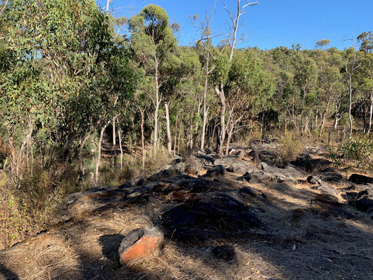 Collections – Never Stop